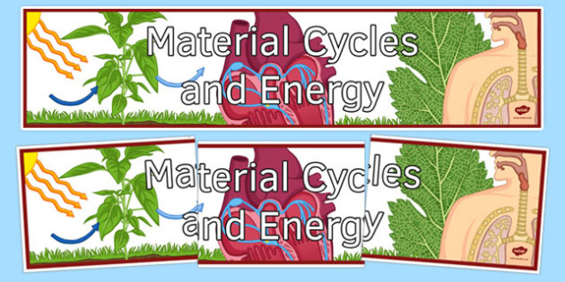 Material Cycles and Energy Display Banner (teacher made)