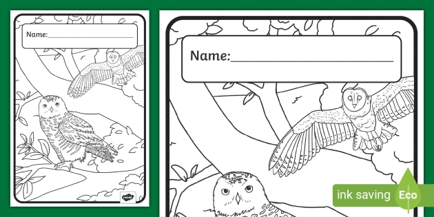 FREE! - Owl Colouring Book Cover (teacher made)