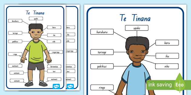Parts of the Body A4 Te Reo Maori (teacher made)