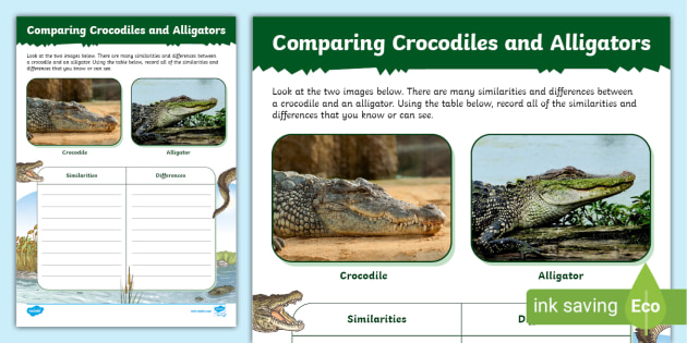 Comparing Crocodiles and Alligators Activity Sheet