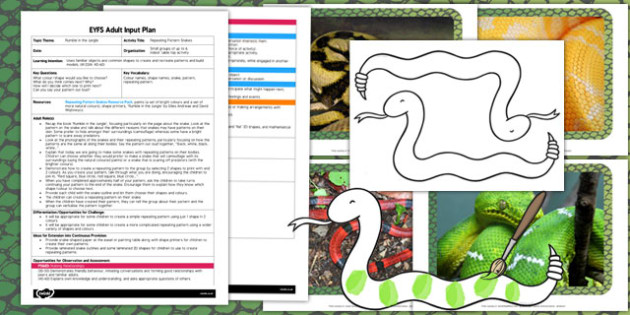 Repeating Pattern Snakes EYFS Adult Input Plan and Resource Pack to Support
