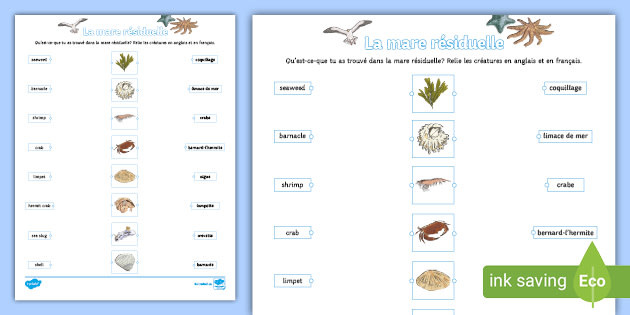 French Language Rock Pool Matching Activity (teacher made)