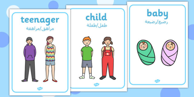 👉 Human Growth Display Posters Arabic Translation