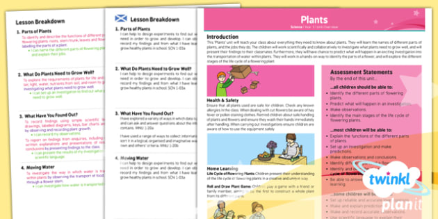 Science: Plants Year 3 Planning Overview CfE