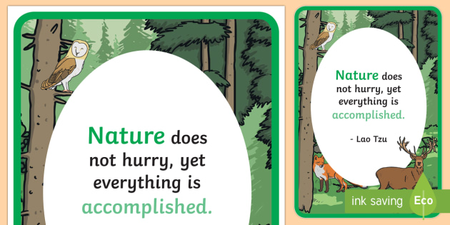 Woodland Creatures Inspirational Quote by Tzu Poster