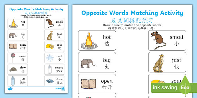 Opposite Words Matching Worksheet - English/Mandarin Chinese Opposite Words Matching Worksheet - English/Mandarin Chinese