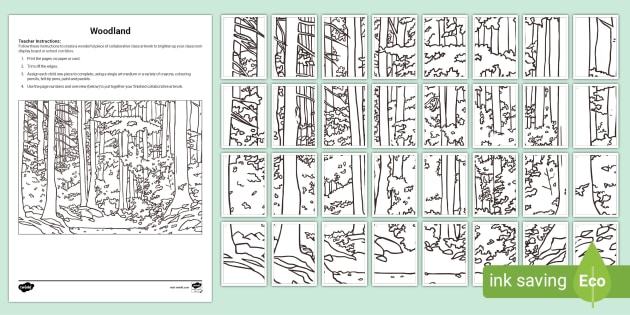 Woodland Collaborative Colouring Activity Pack