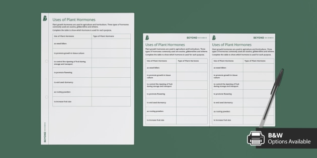 Uses of Plant Hormones Worksheet (teacher made)