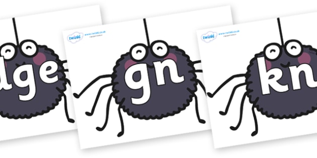 FREE! - Silent Letters on Spiders (teacher made)