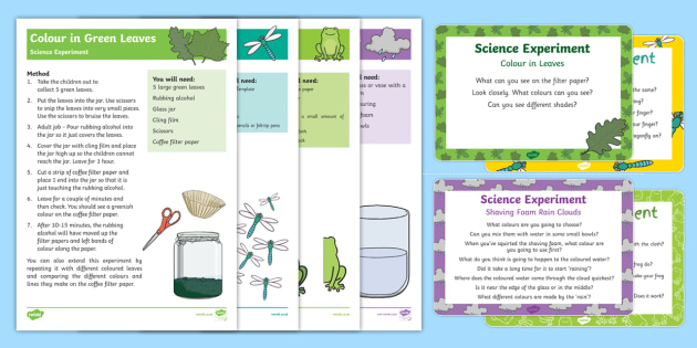 EYFS Jungle and Rainforest Science Experiments Resource Pack