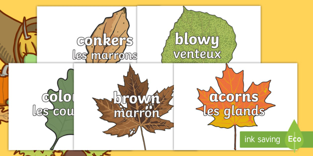 Autumn words on leaves Display Poster English/French