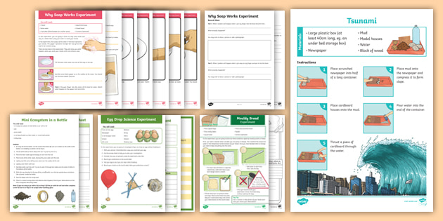 KS2 Science Project Pack Return to School (teacher made)