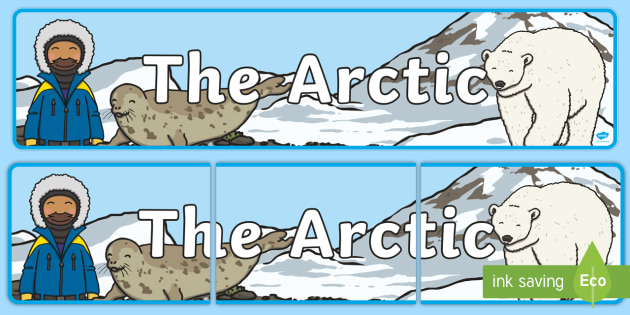 Arctic Display Banner - Winter, display banner, polar, arctic