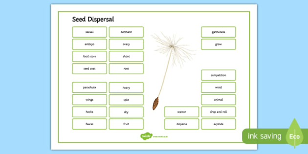 Seed Dispersal Word Mat (teacher made)