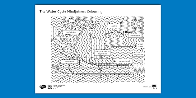 Water Cycles | twinkl.co.uk