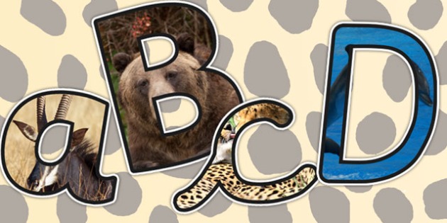 Animals Themed A4 Photo Display Lettering (teacher made)