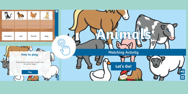 Animal Vocabulary Lessons | twinkl.co.uk