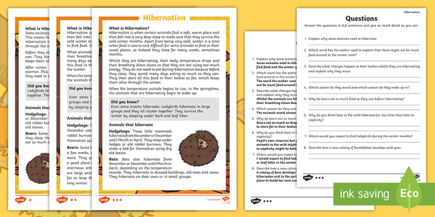 Hibernation Differentiated Reading Comprehension Activity