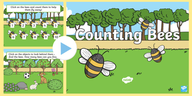 Counting Bees PowerPoint - Twinkl USA Resources