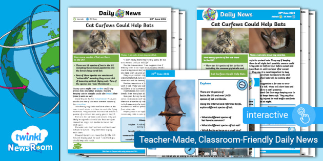 Keep Cats Indoors to Protect Bats | Twinkl Resources