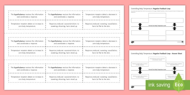 Controlling Body Temperature Negative Feedback Loop Sequencing Cards