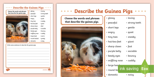 Describe the Guinea Pigs Writing Activity Sheet
