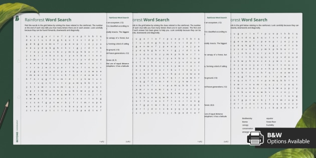 Rainforest Word Searches | twinkl.com.au