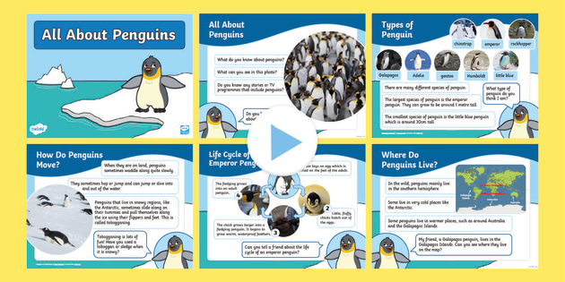All About Penguins PowerPoint (teacher made)