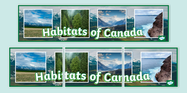 Habitats Display Banners | twinkl.co.uk