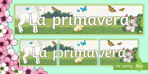 Spring Display Banner (teacher made)