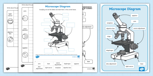 Microscope Diagram To Print
