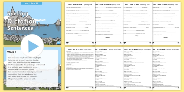 Year 1 Term 3B Spelling Dictation Sentences Activity Pack