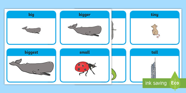 FREE! - Size Word Cards (teacher made)