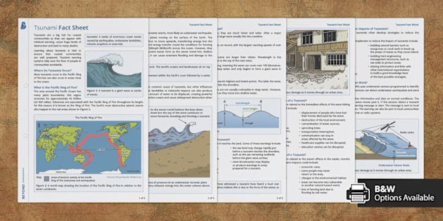 Tsunamis Para Criancas Powerpoint Steps For Engaging Young Children 2