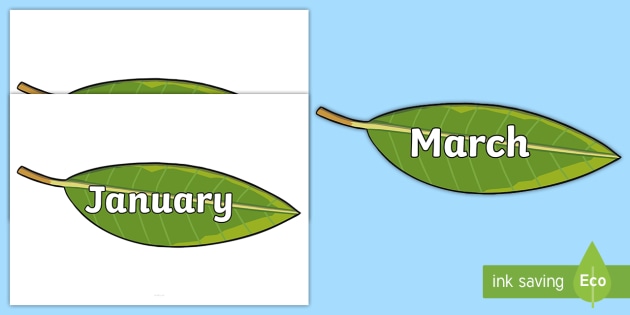 FREE! - Months of the Year on Green Leaves (teacher made)
