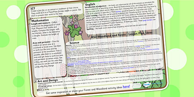 Forest and Woodland Lesson Plan Ideas KS2