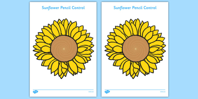 Sunflower-Themed Pencil Control Sheets (teacher made)