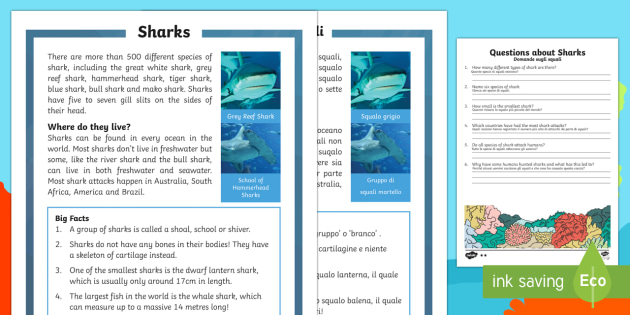 Sharks Differentiated Reading Comprehension Activity English/Italian