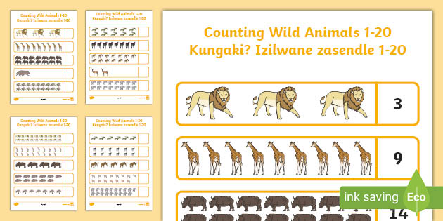 Kungaki? Izilwane zasendle 1-20 -Counting Wild Animals 1-20 isiZulu