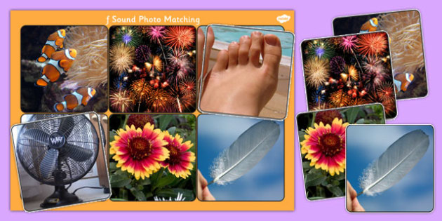 Initial f Sound Photo Matching Board and Cards