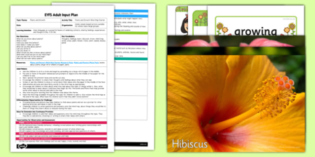 Plants and Growth Mind Map Starter Activity EYFS Adult Input Plan and ...
