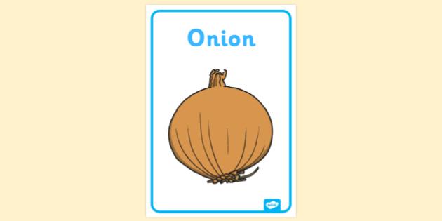 FREE! - Onion Display Poster | Display Posters