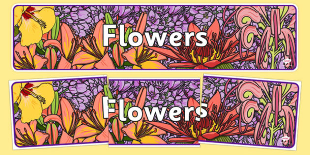 Flowers Display Banner (teacher made)