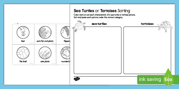 Sea Turtles or Tortoises Sorting Activity (teacher made)