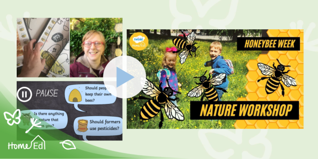 FREE! - * NEW * Honey Bee: Nature Workshop Video