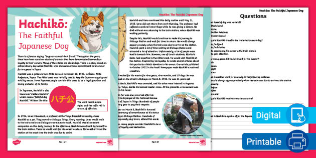 Hachiko: The Faithful Japanese Dog 5th Gr. Reading Activity