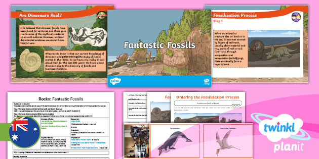 Year 4 Science Rocks Lesson 3 Fantastic Fossils