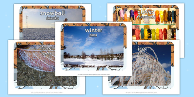 Winter Display Photos Polish Translation (teacher made)