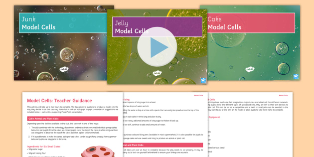 Model Cells Activity | KS3 Science | Beyond (teacher made)