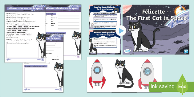 The First Cat in Space Lesson | CfE Early Level Resources